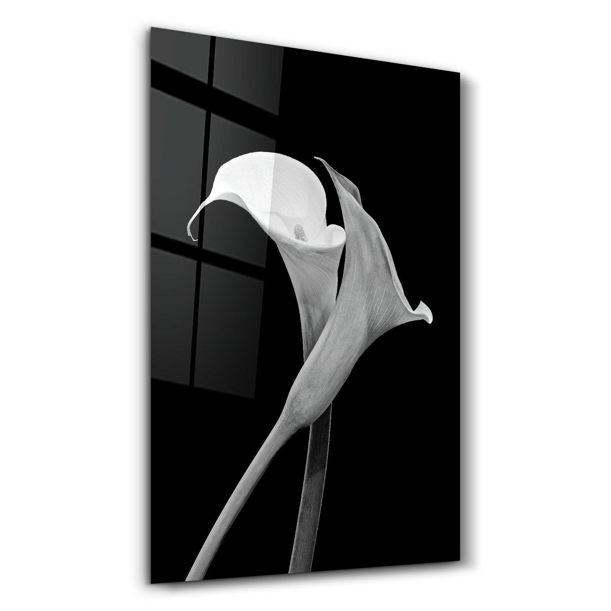 Arum Lily | Glass Wall Art – Artdesigna
