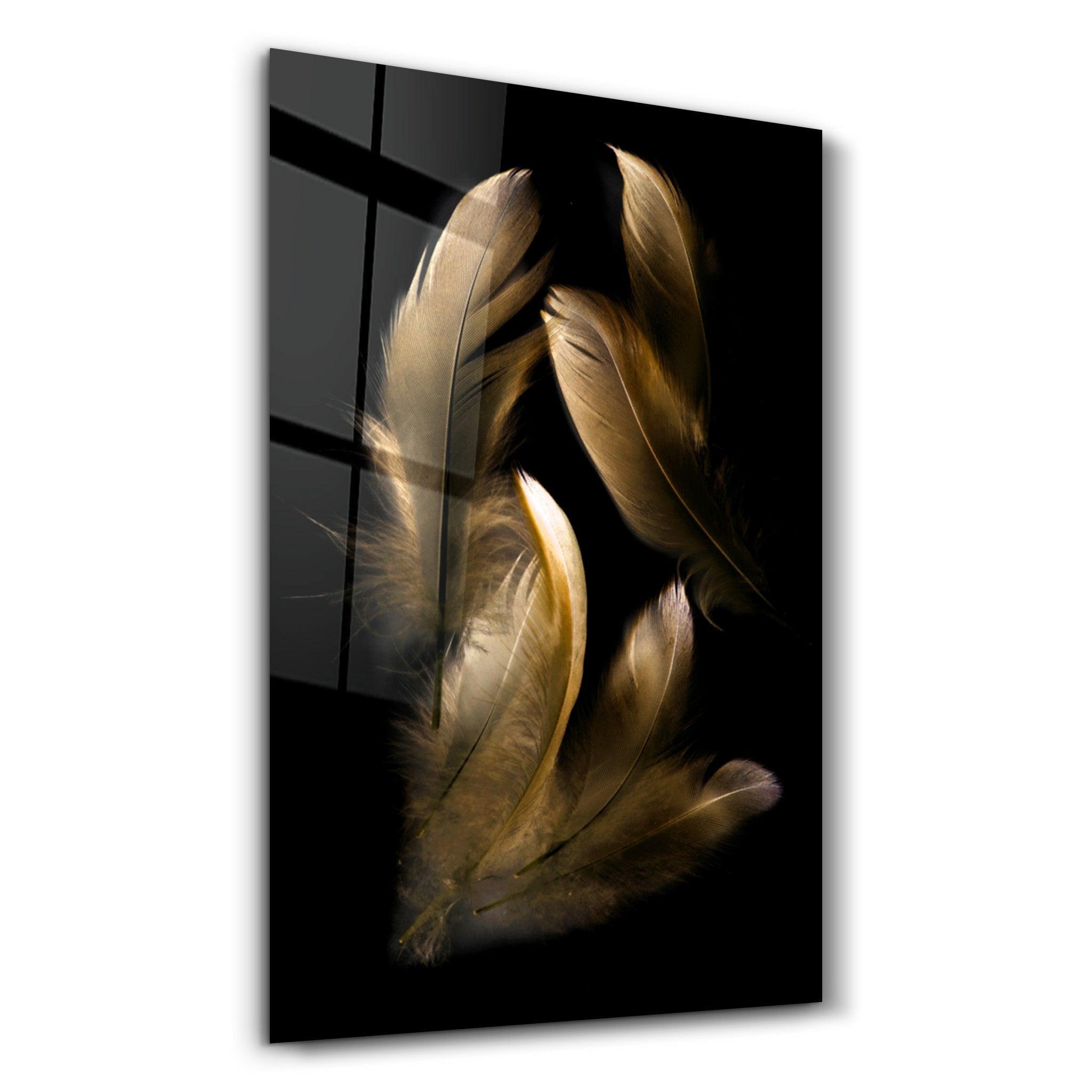 Tan Feather | Glass Wall Art – Artdesigna